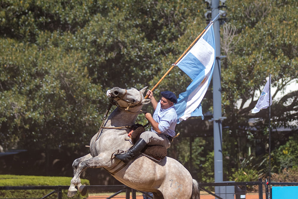 Programa de Actividades - Exposición Nuestros Caballos